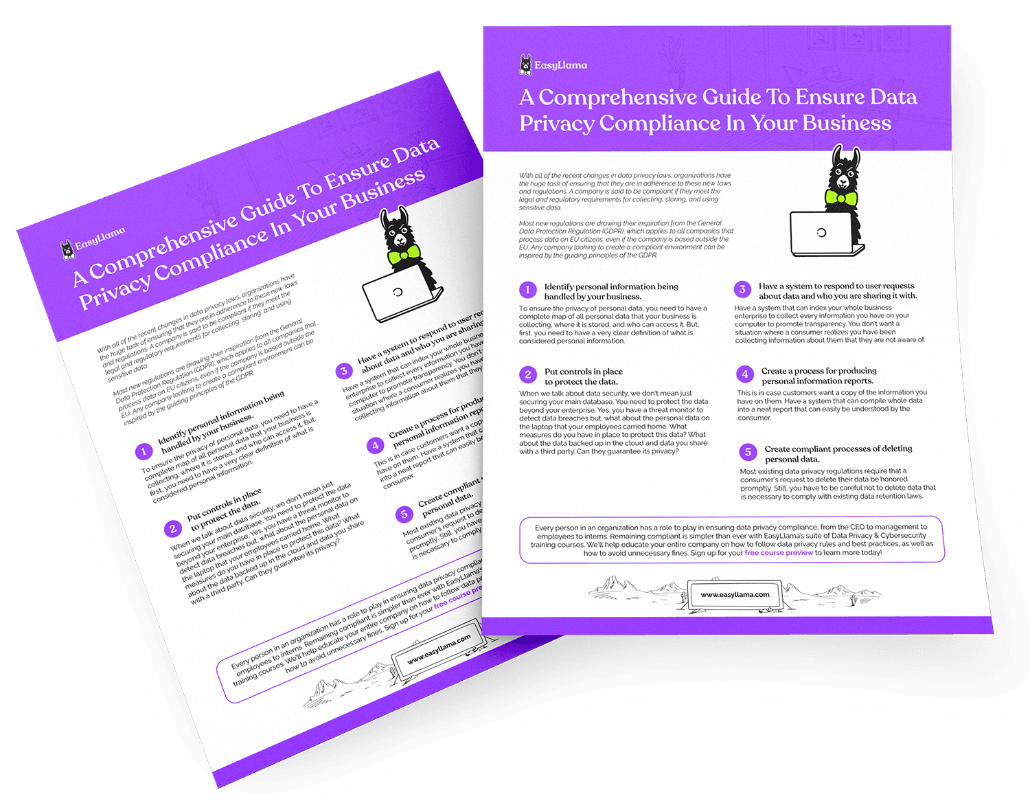 A Comprehensive Guide to Ensure Data Privacy Compliance in your ...